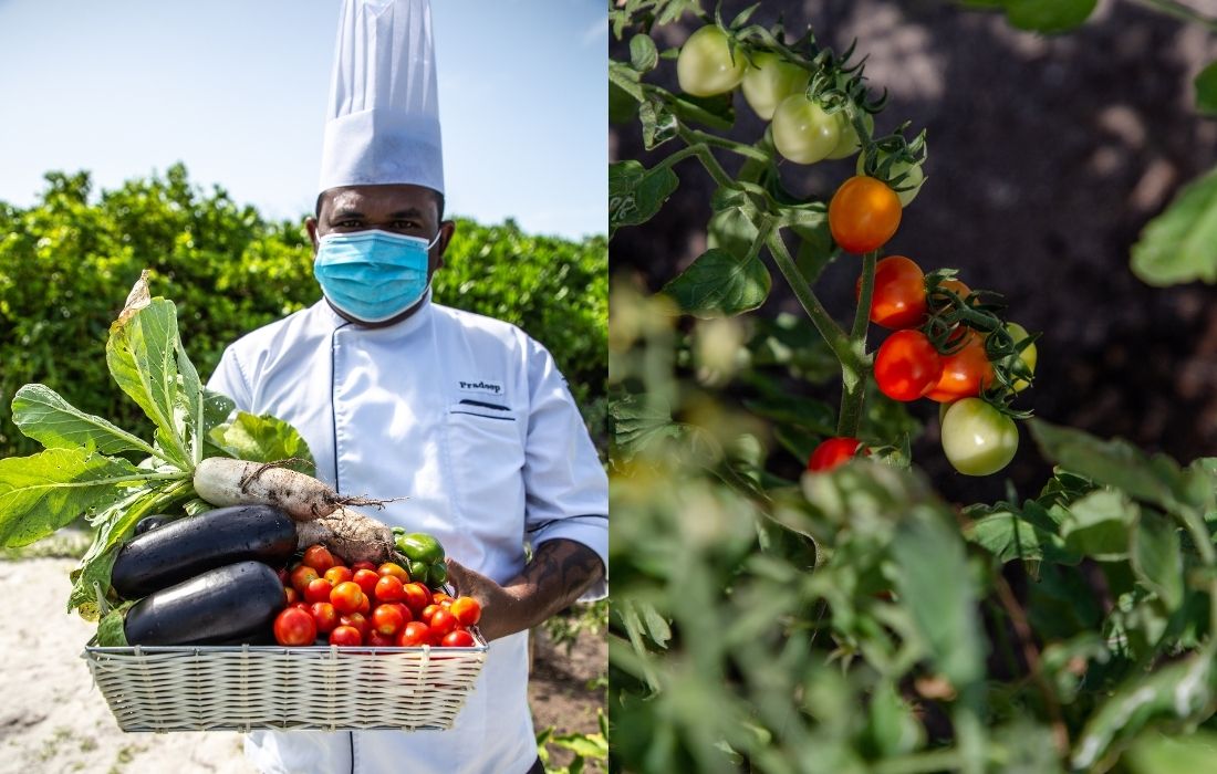 Travel Trade Maldives - Innahura Maldives Resort’s Sustainable ...