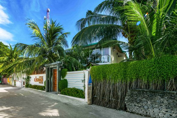 Travel Trade Maldives - Editor’s Pick: Discover the True Tropical ...