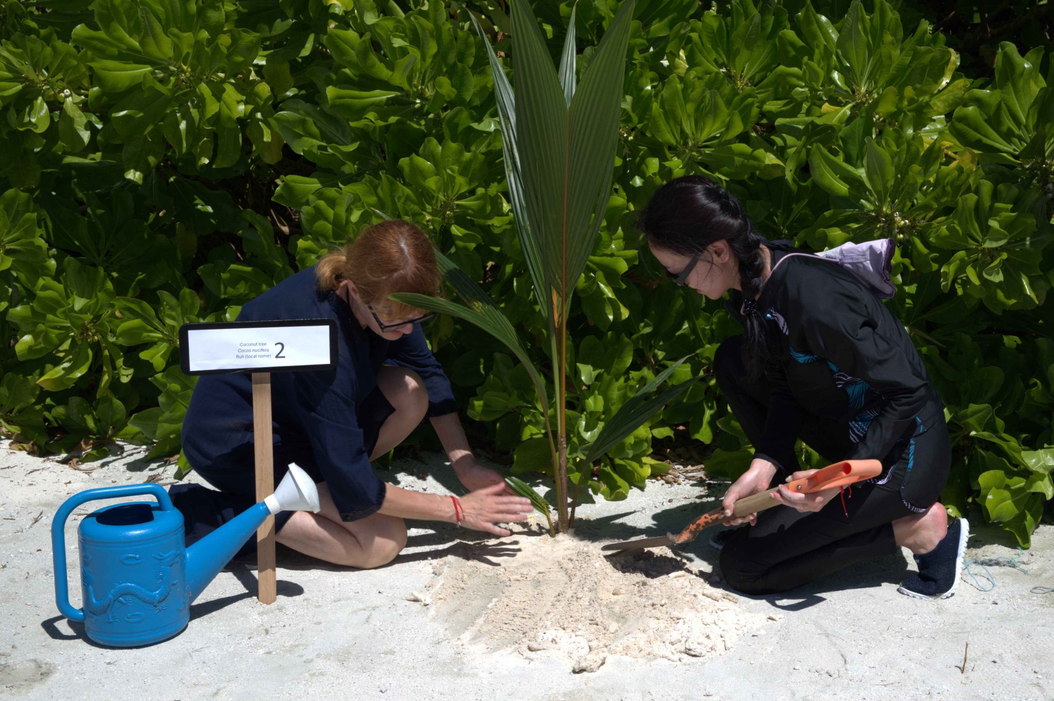 Travel Trade Maldives - Fortifying Angsana Velavaru’s Dedication to ...