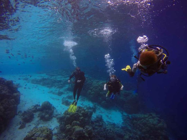 Travel Trade Maldives - Dhawa Ihuru Celebrates 25th Anniversary of the ...