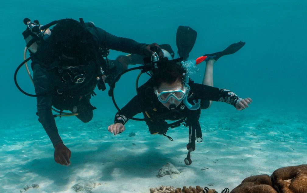 Travel Trade Maldives - Ifuru Island Maldives Launches Curated Dive ...